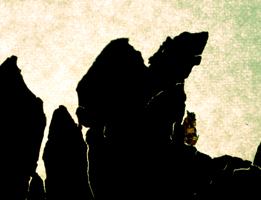 Dense can | John Fox